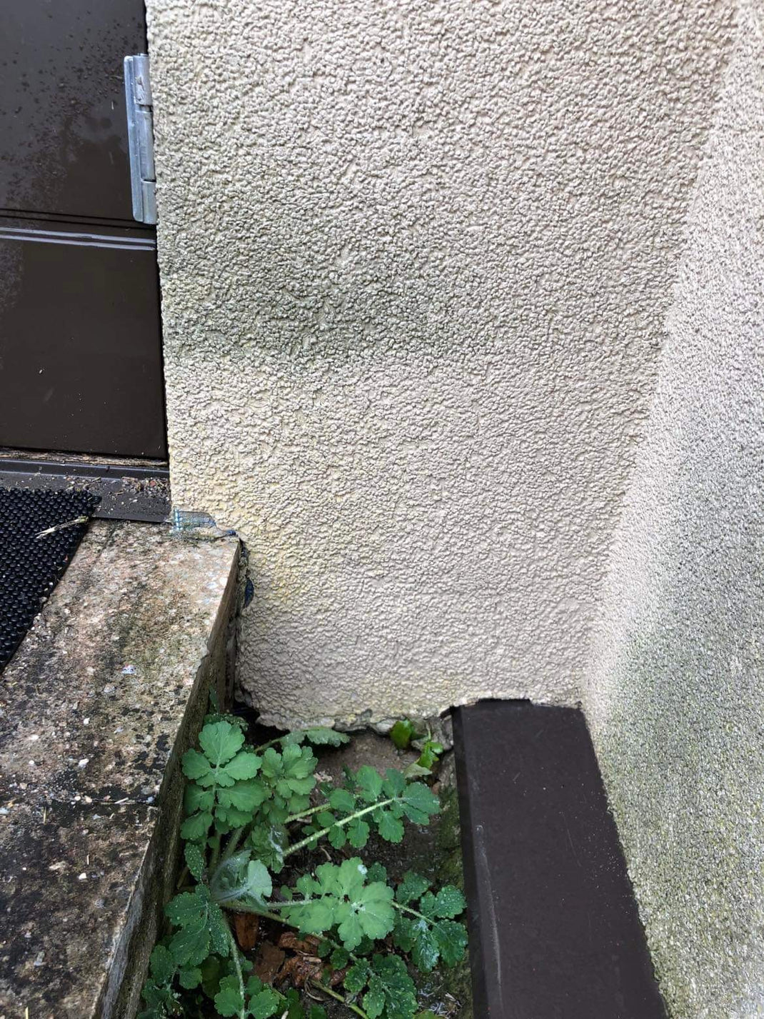 Puhastusteenused - survepesu – SN Haldus